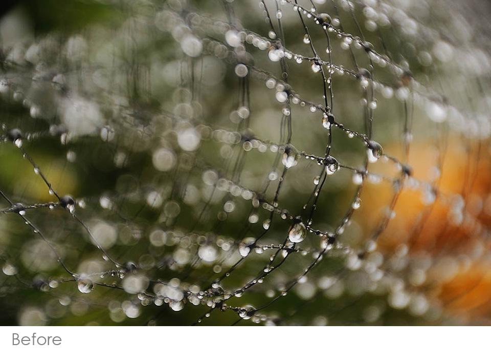 Photoshop Overlays Archives - Photoshop Actions and Lightroom Presets ...