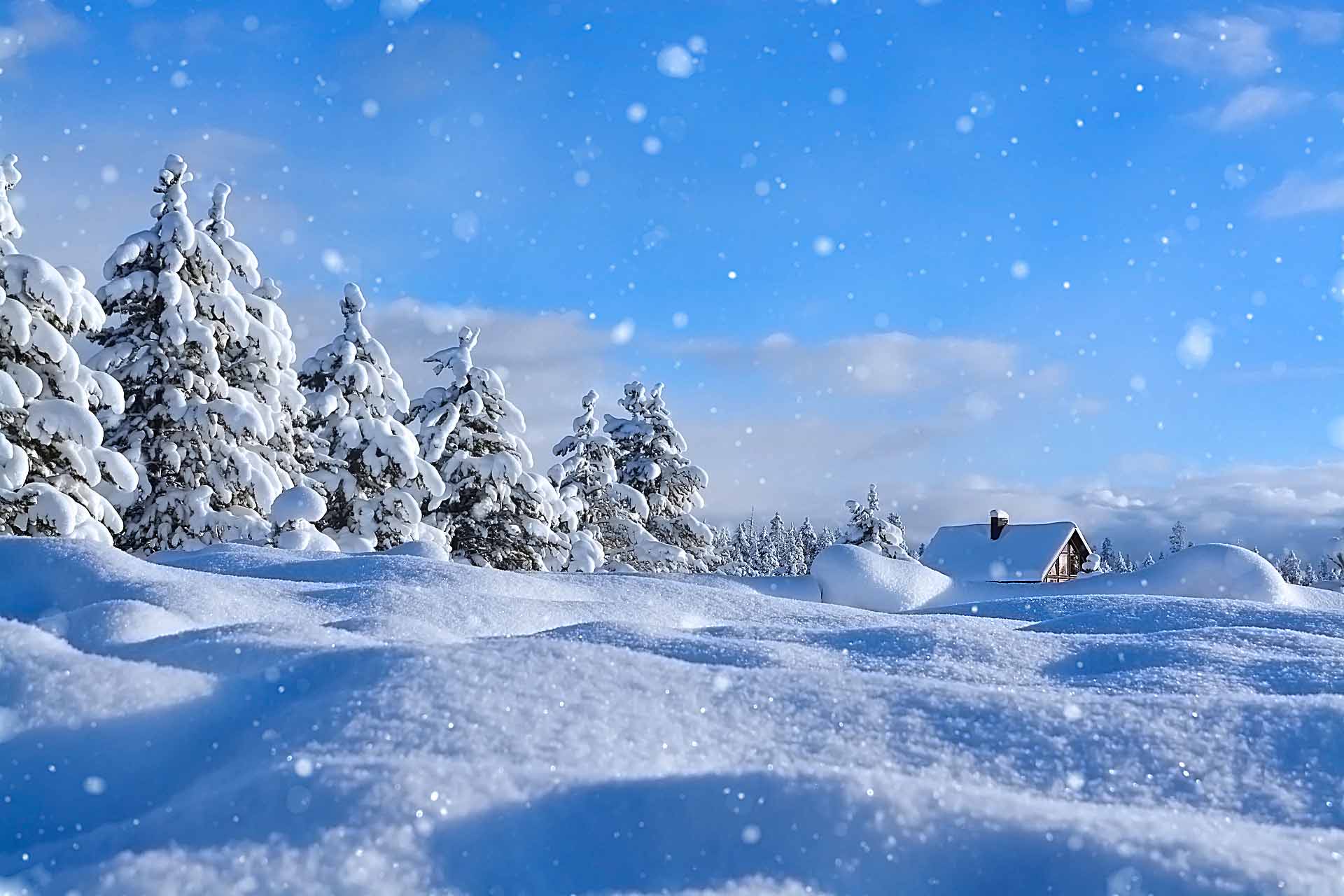 Winter Snow Photoshop Action Set | MCP Actions™